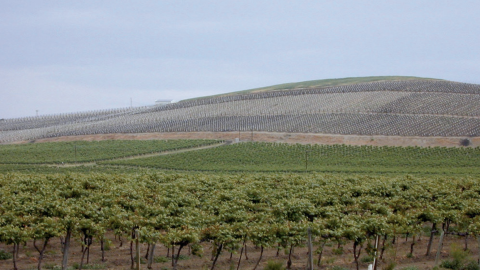 Resources | Pacific Northwest Agricultural Safety and Health Center